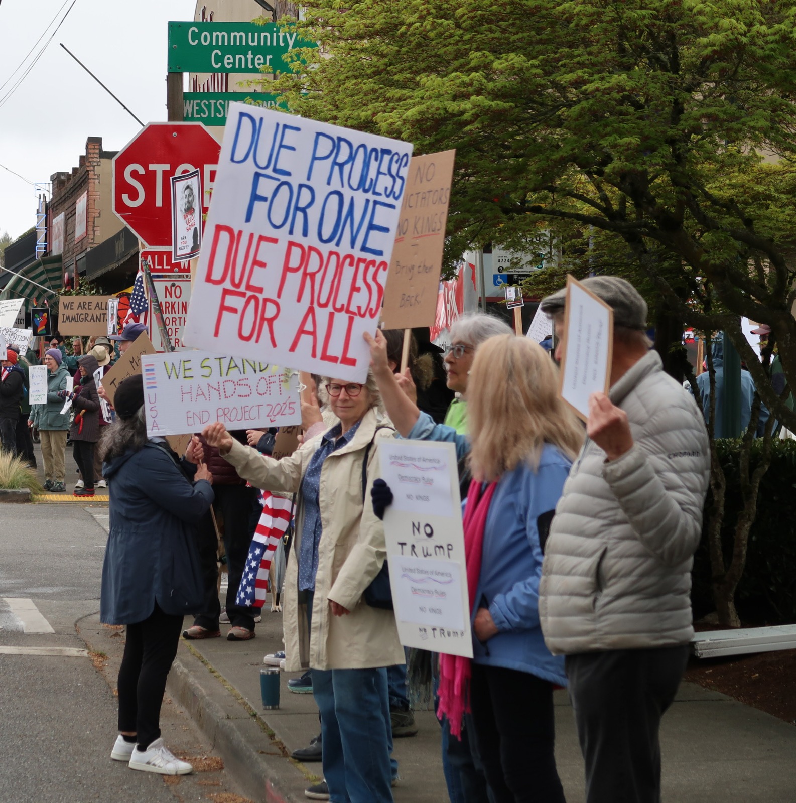 Take Action Now | Indivisible Vashon